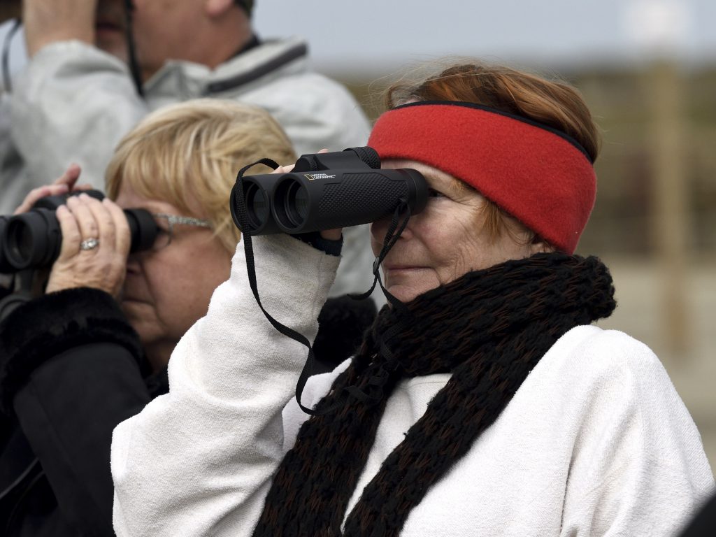 WINTER NATURE PROGRAM - Galveston Island Nature Tourism Council