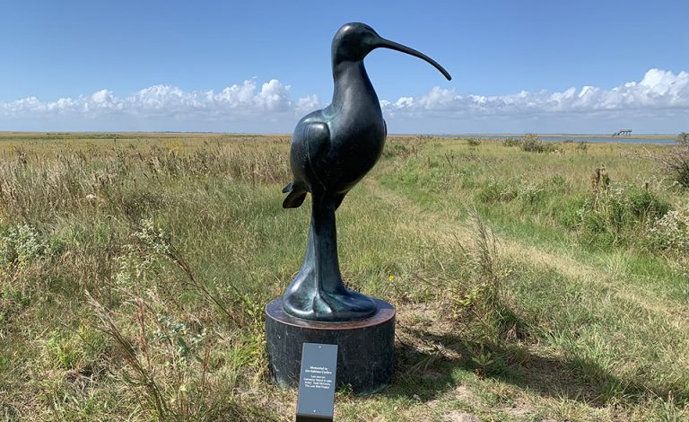 Eskimo Curlew Sculpture - Galveston Island Nature Tourism Council
