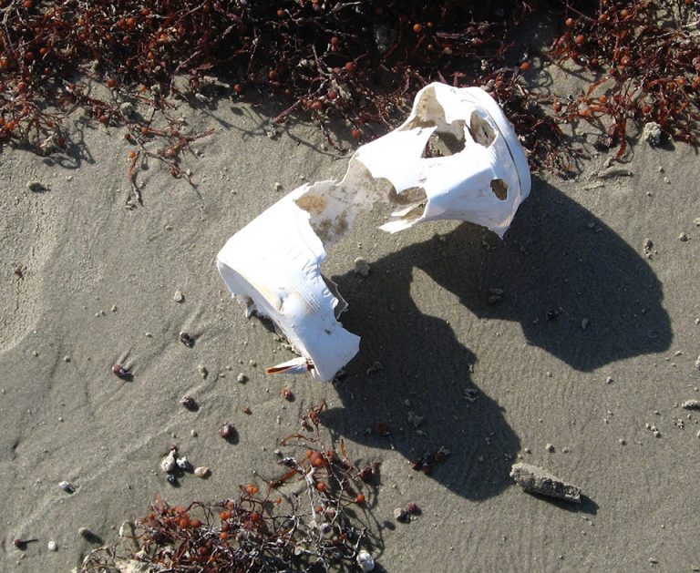 BEACH CLEANUP STIRS OLD MEMORIES - Galveston Island Nature Tourism Council